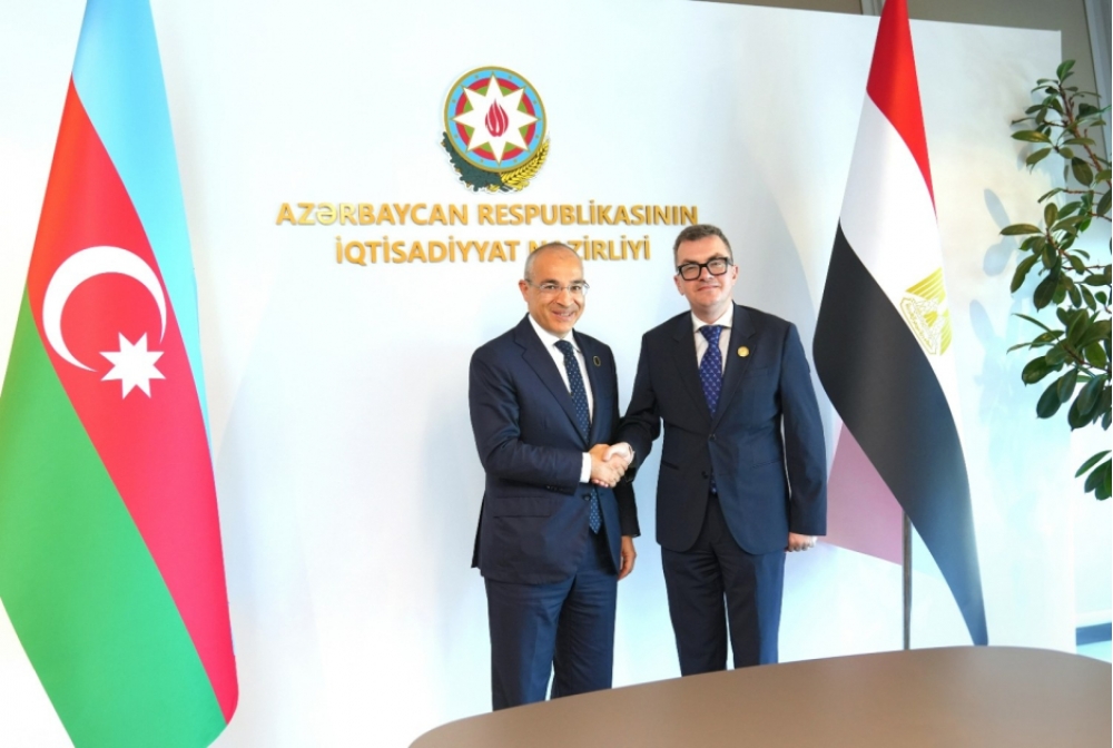 Azərbaycan ilə Misir arasında iqtisadi əməkdaşlığın mövcud vəziyyəti və ...