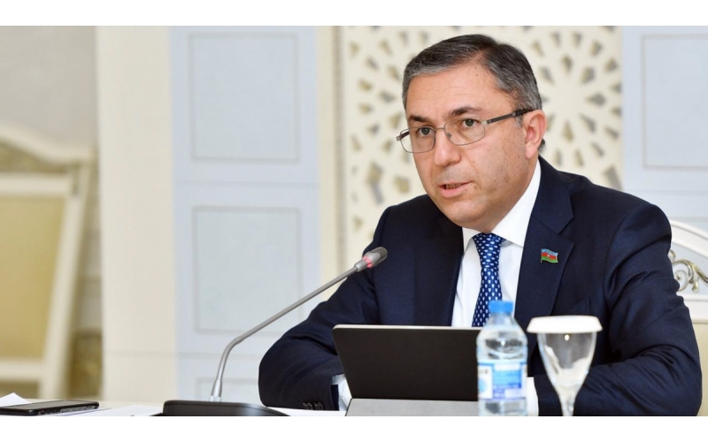 İdman uğurları kontekstində Azərbaycanın inkişaf modeli - "İki sahil"