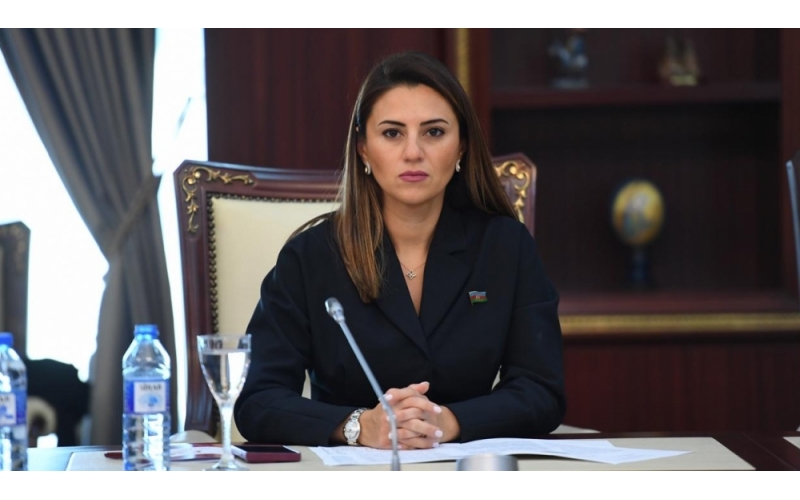Türkmənistan ilə Azərbaycan arasında münasibətlərin qədim tarixi var ...